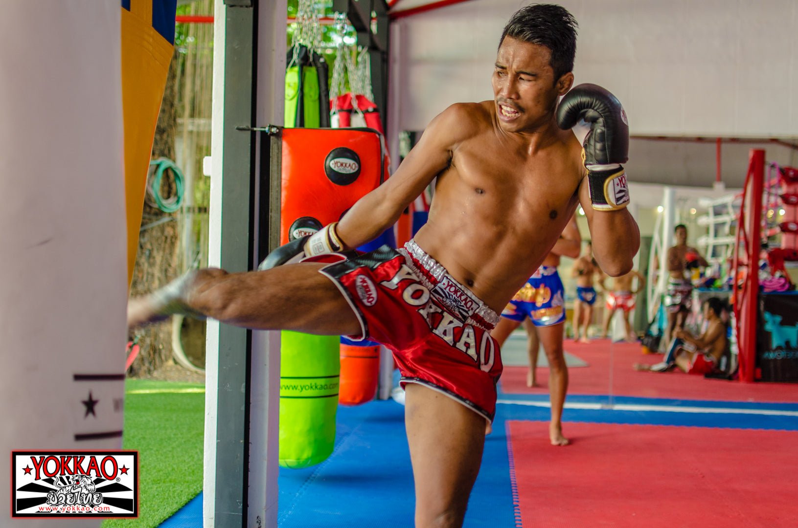 Singdam added to the YOKKAO US Seminar Tour! ! YOKKAO USA | YOKKAO USA